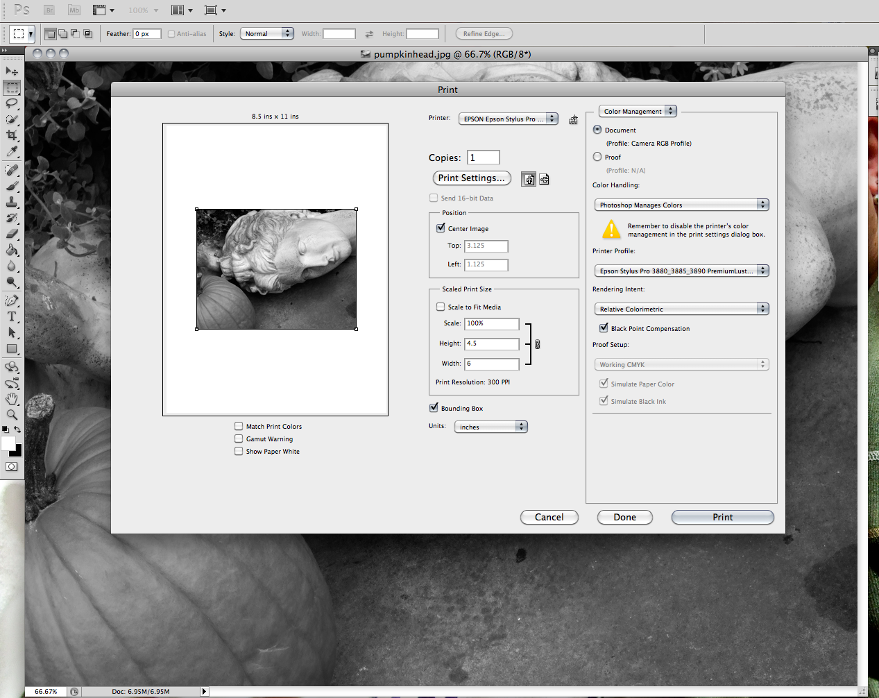 New Epson Complete Guide to Digital Printing - Book Review - MyMac.com